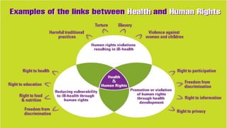 refugee & Human rights | PPTX