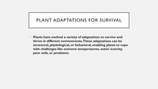 Presentation-2-1 How do plants survive.pptx