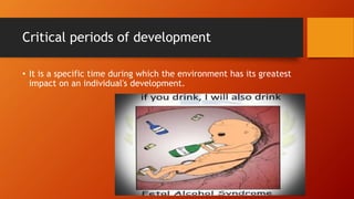 Organogenesis by which actoderm, endoderm and mesoderm developed | PPTX