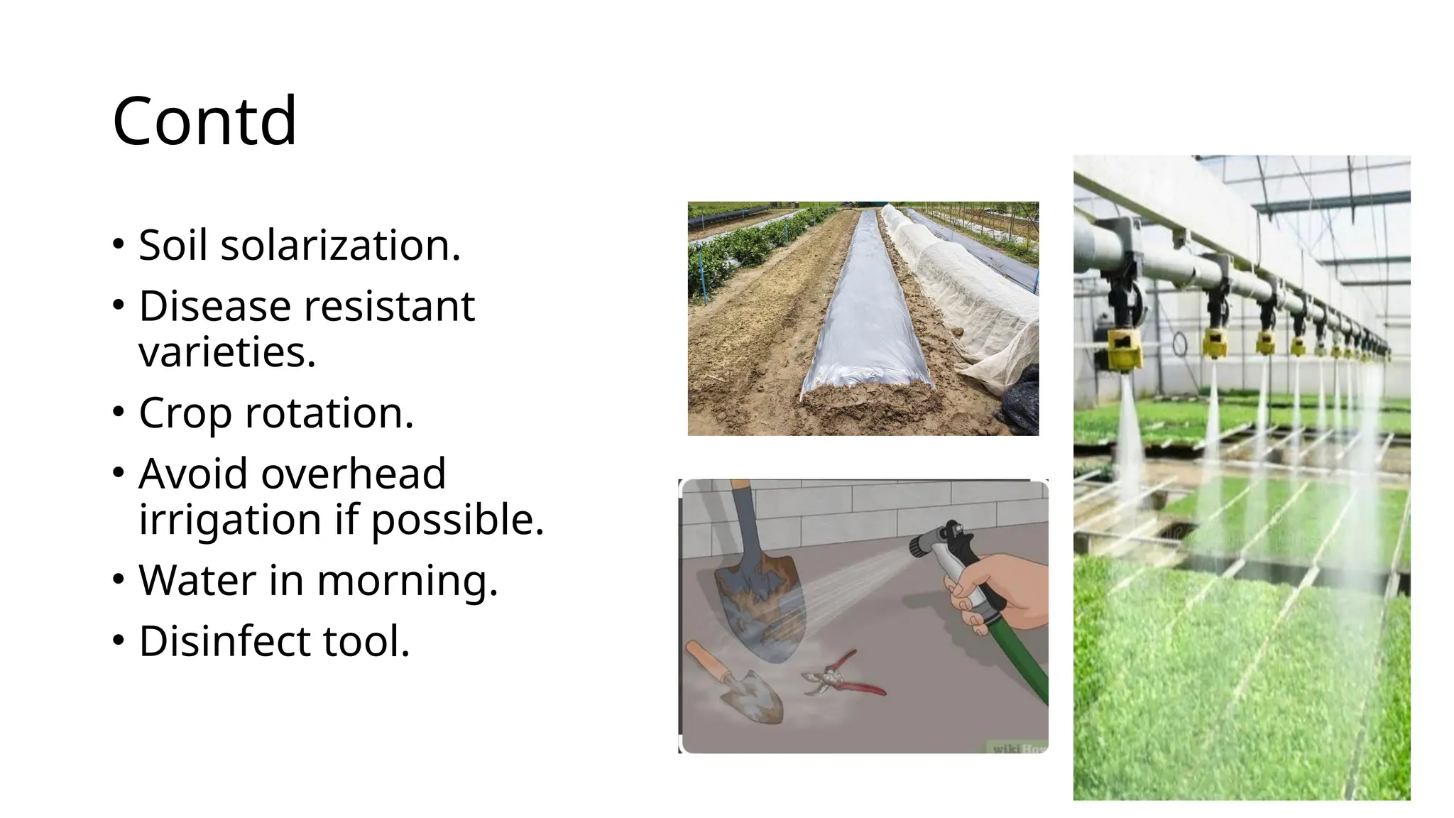 Presentation organic diseases management.pptx