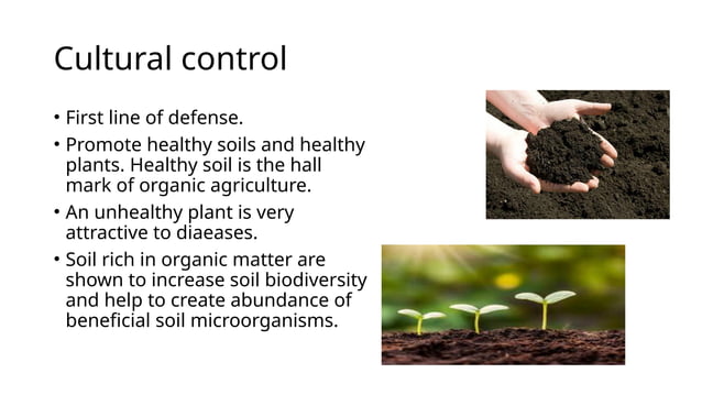 Presentation organic diseases management.pptx