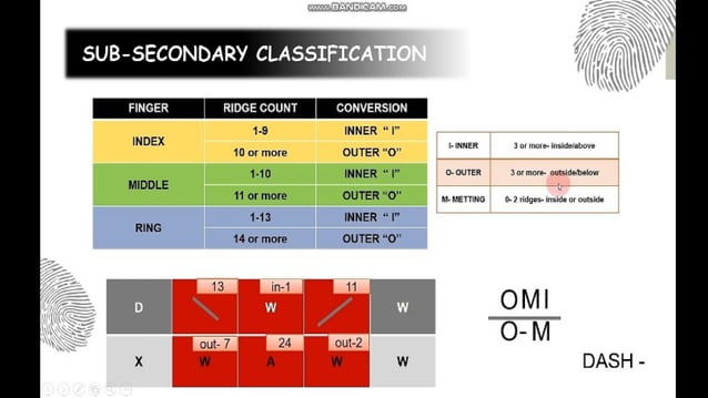CHAPTER 5 CLASSIFICATION FORMULA CRIMNOLGY | PPTX