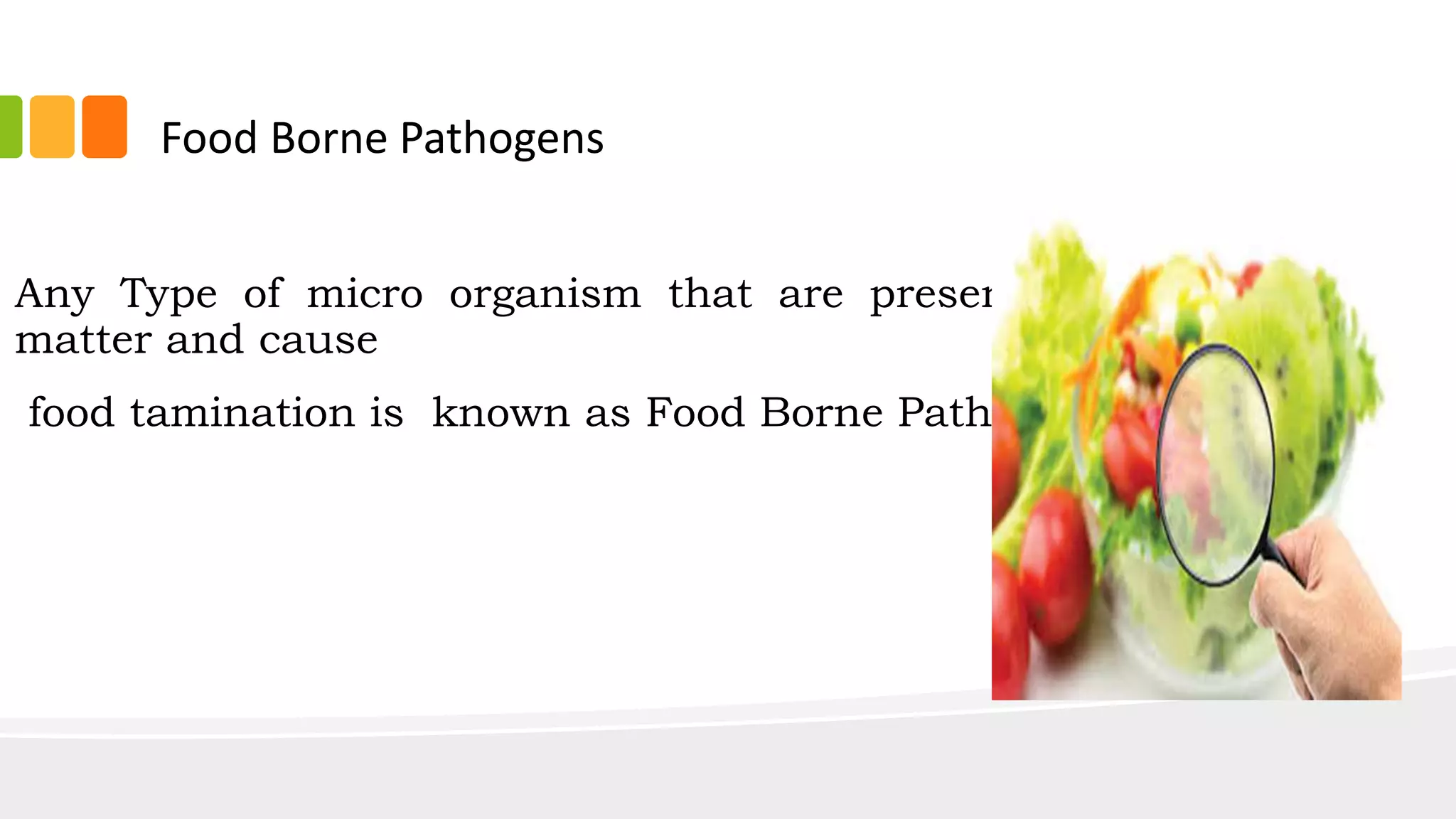 FOOD BORNE PATHOGENS | PPTX