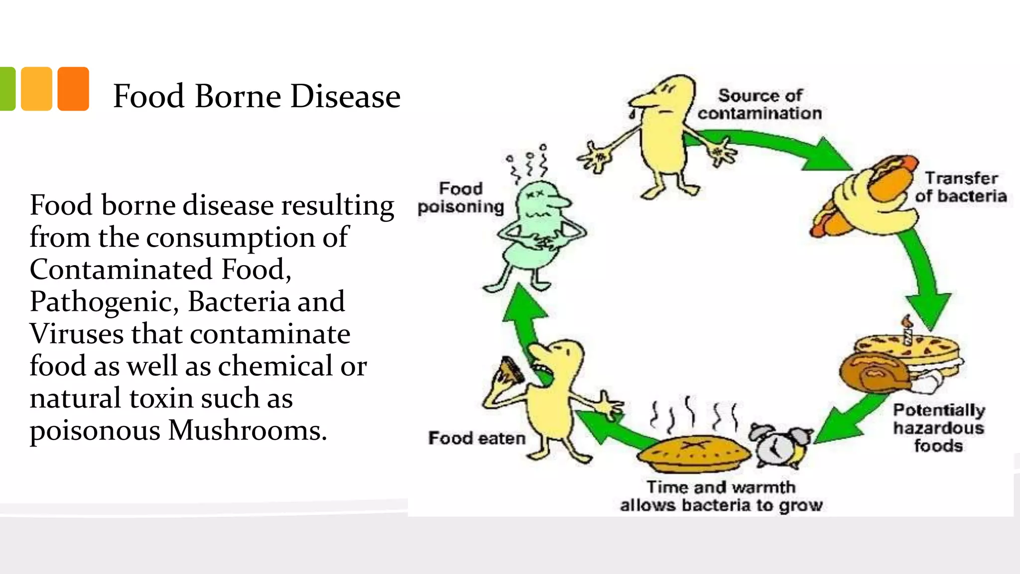 FOOD BORNE PATHOGENS | PPTX