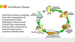 FOOD BORNE PATHOGENS | PPTX