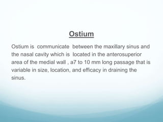 Presentation | PPTX | Ear, Nose and Throat Conditions | Diseases and ...