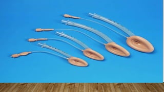 Basic Airway Management | PPTX