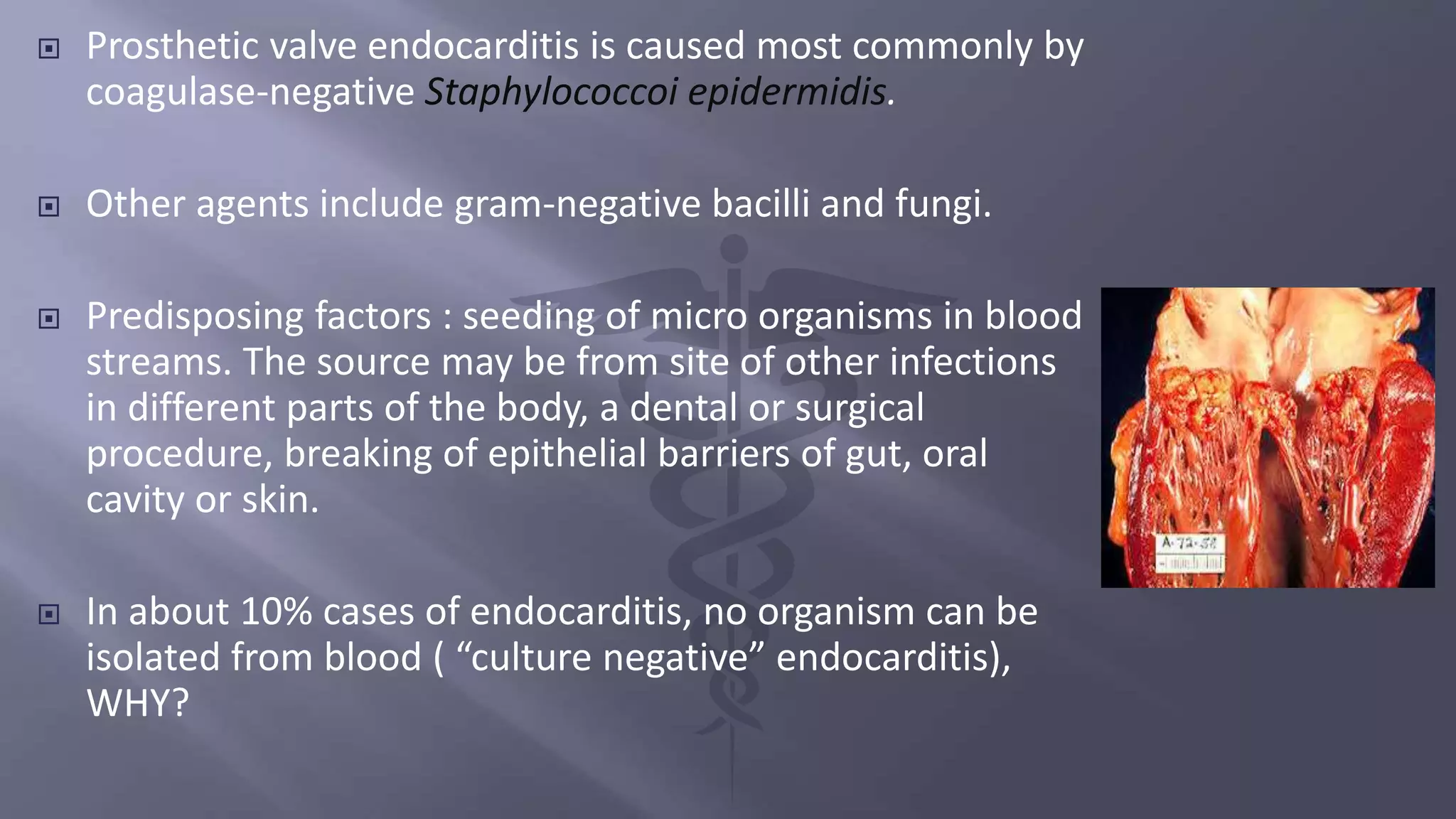 Antibiotics prophylaxis for Infective Endocarditis | PPTX