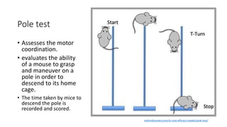 Neuroinfammation induced by lipopolysaccharide causes cognitive ...