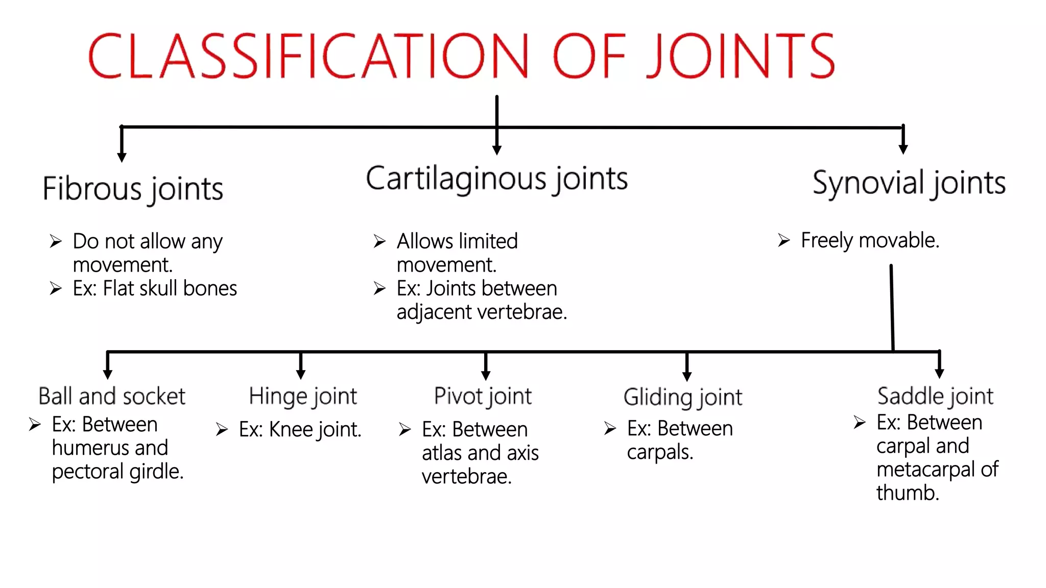 Locomotion and movement | PPTX