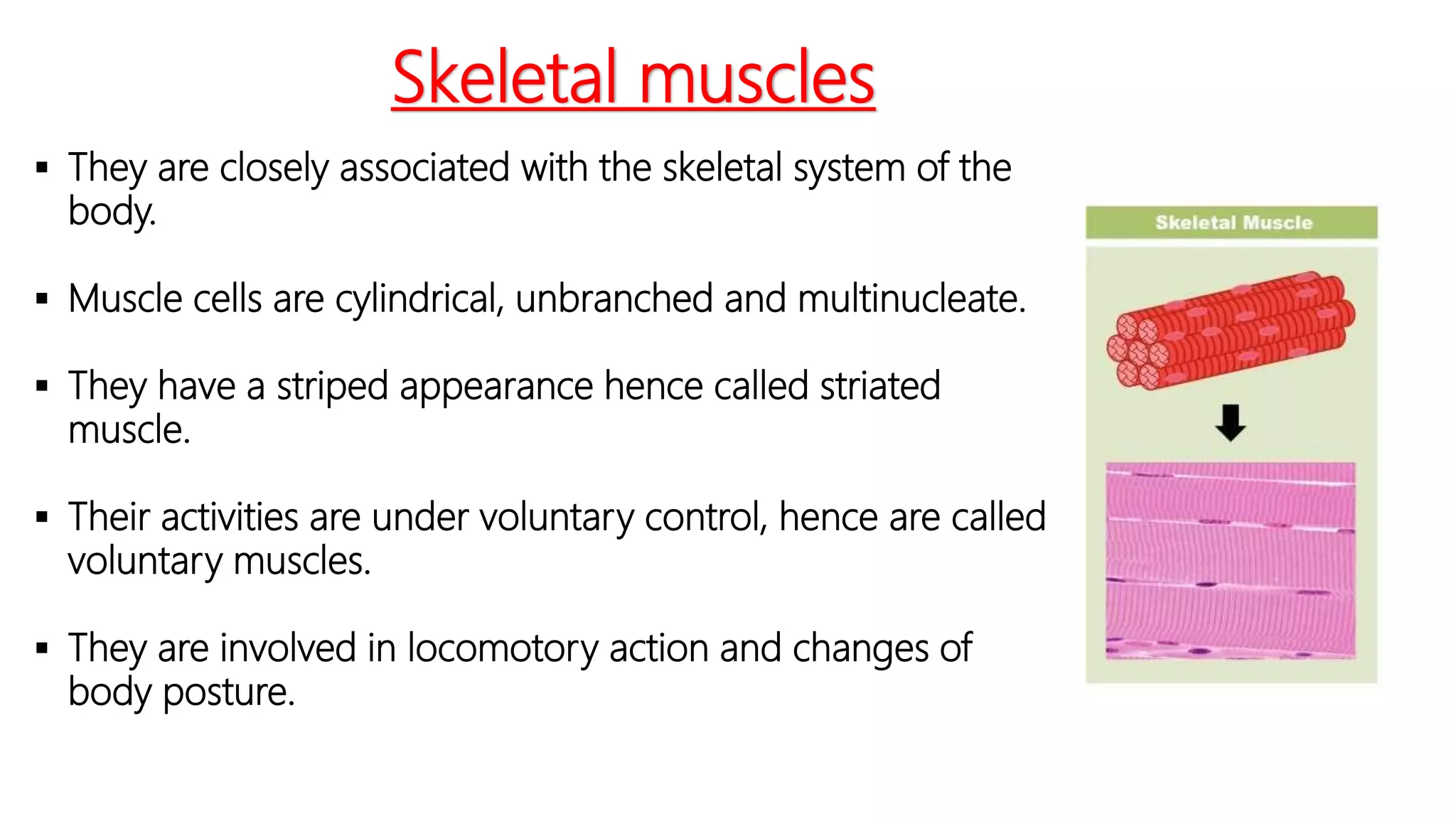 Locomotion and movement | PPTX