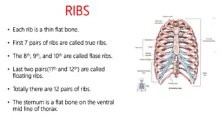 Locomotion and movement | PPTX