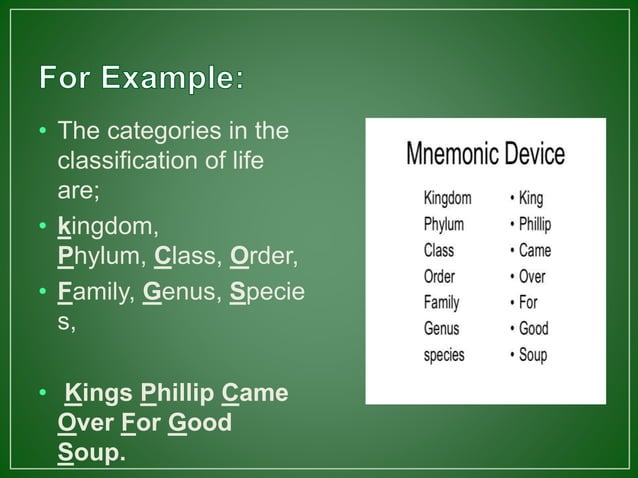 Mnemonics | PPTX | Technology & Computing
