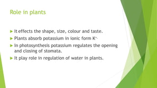 physiology and ecology of pottasium nutrients. | PPTX