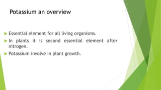 physiology and ecology of pottasium nutrients. | PPTX | Agriculture ...