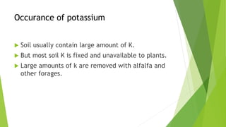 physiology and ecology of pottasium nutrients. | PPTX