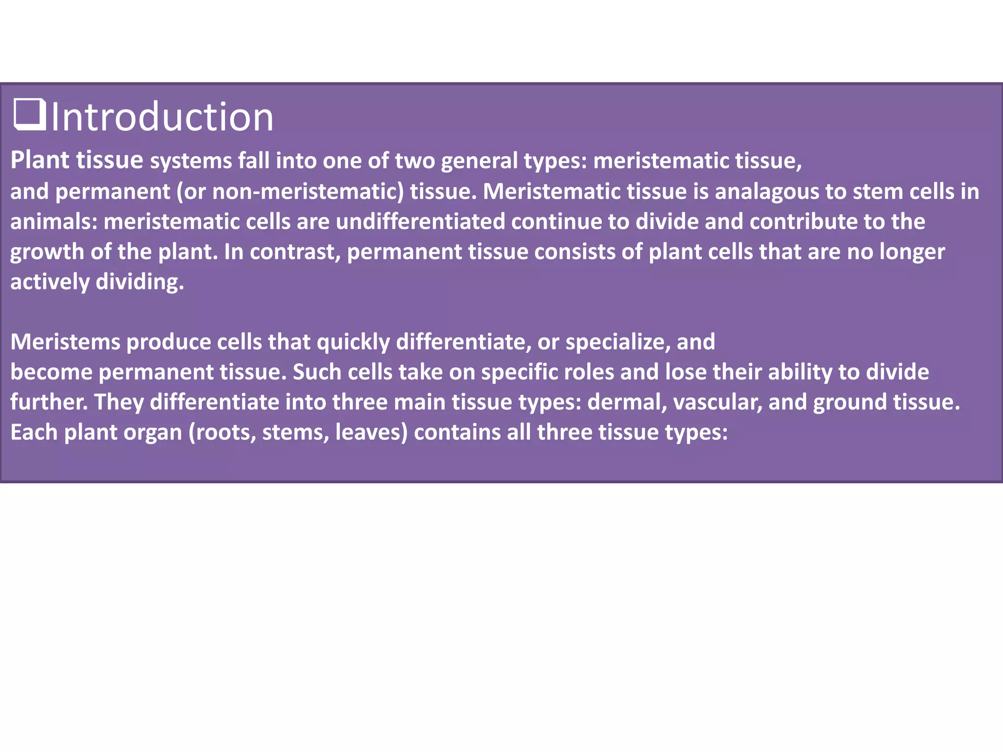 plant tissue presentation | PPTX