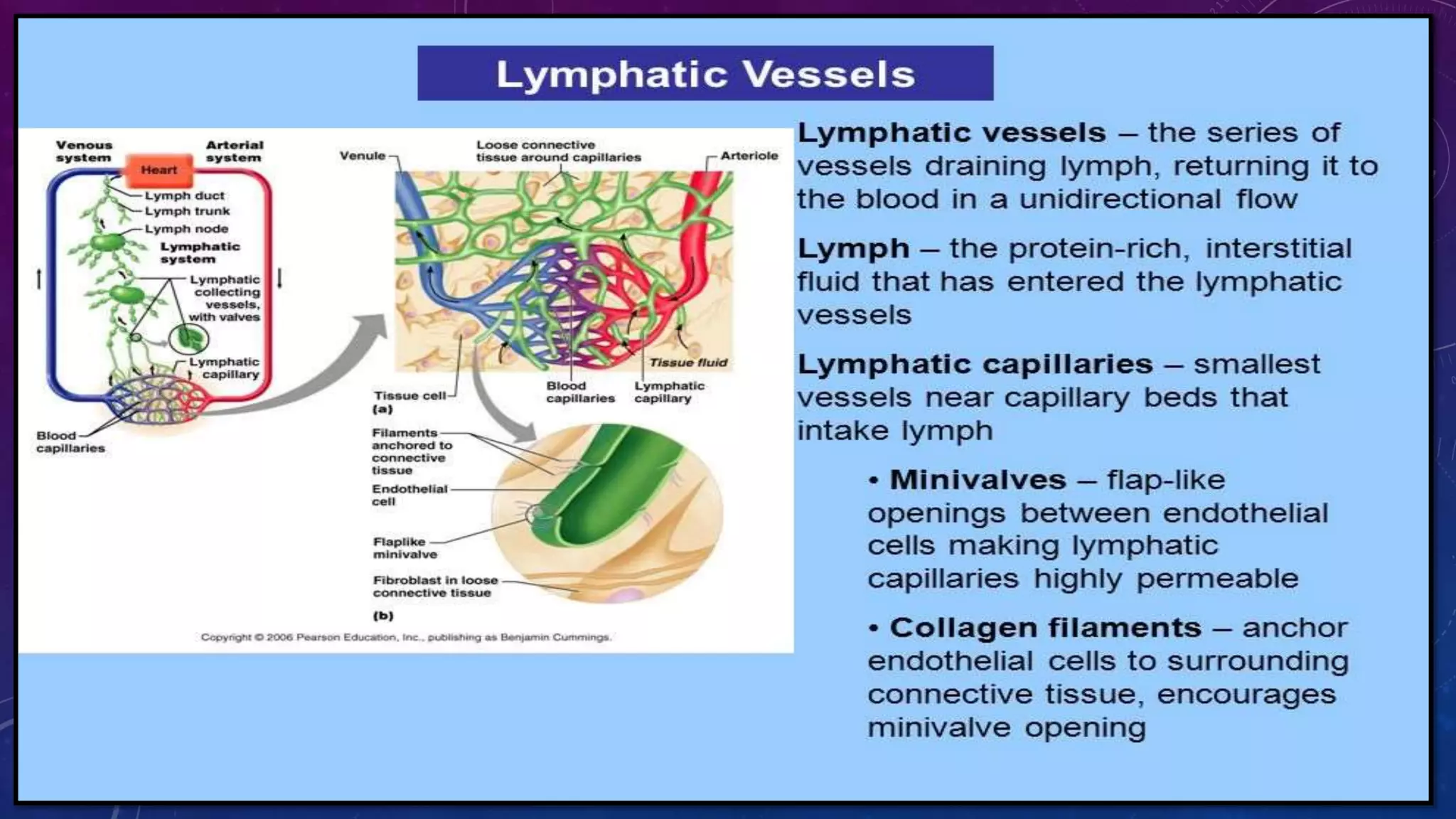 lymphatic system | PPT