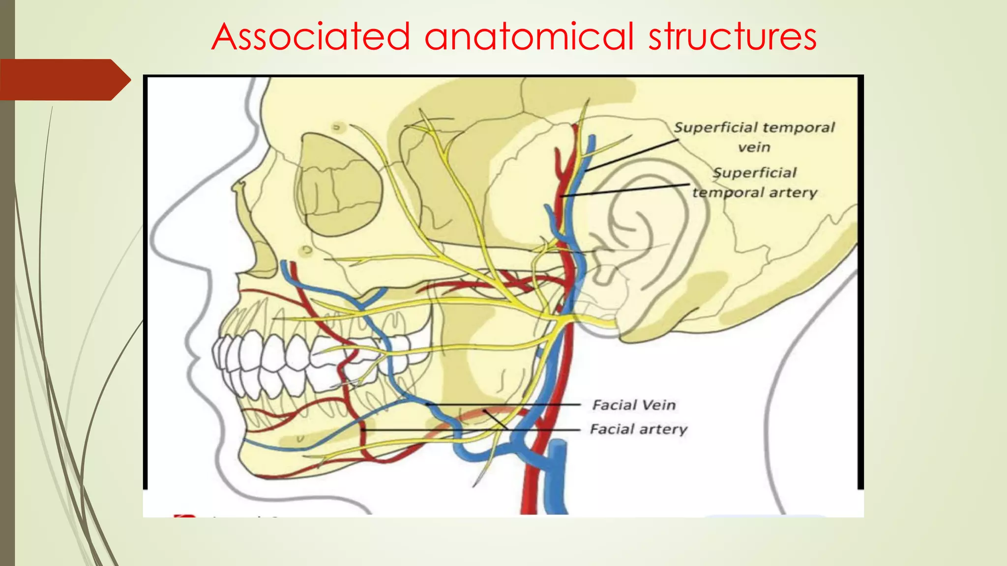 Extraoral Surgical Approaches to Temporomandibular Joint | PDF