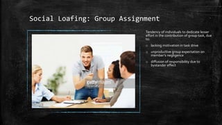 Presentation slides.pptx