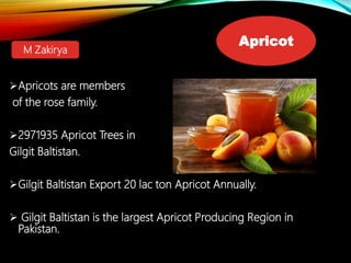 Presentation On Fruits | PPTX | Gardening | Home & Garden