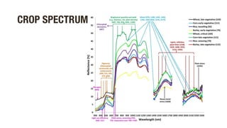 CROP PHENOTYPING THROUGH SPECTRAL CLASSIFICATION | PPT