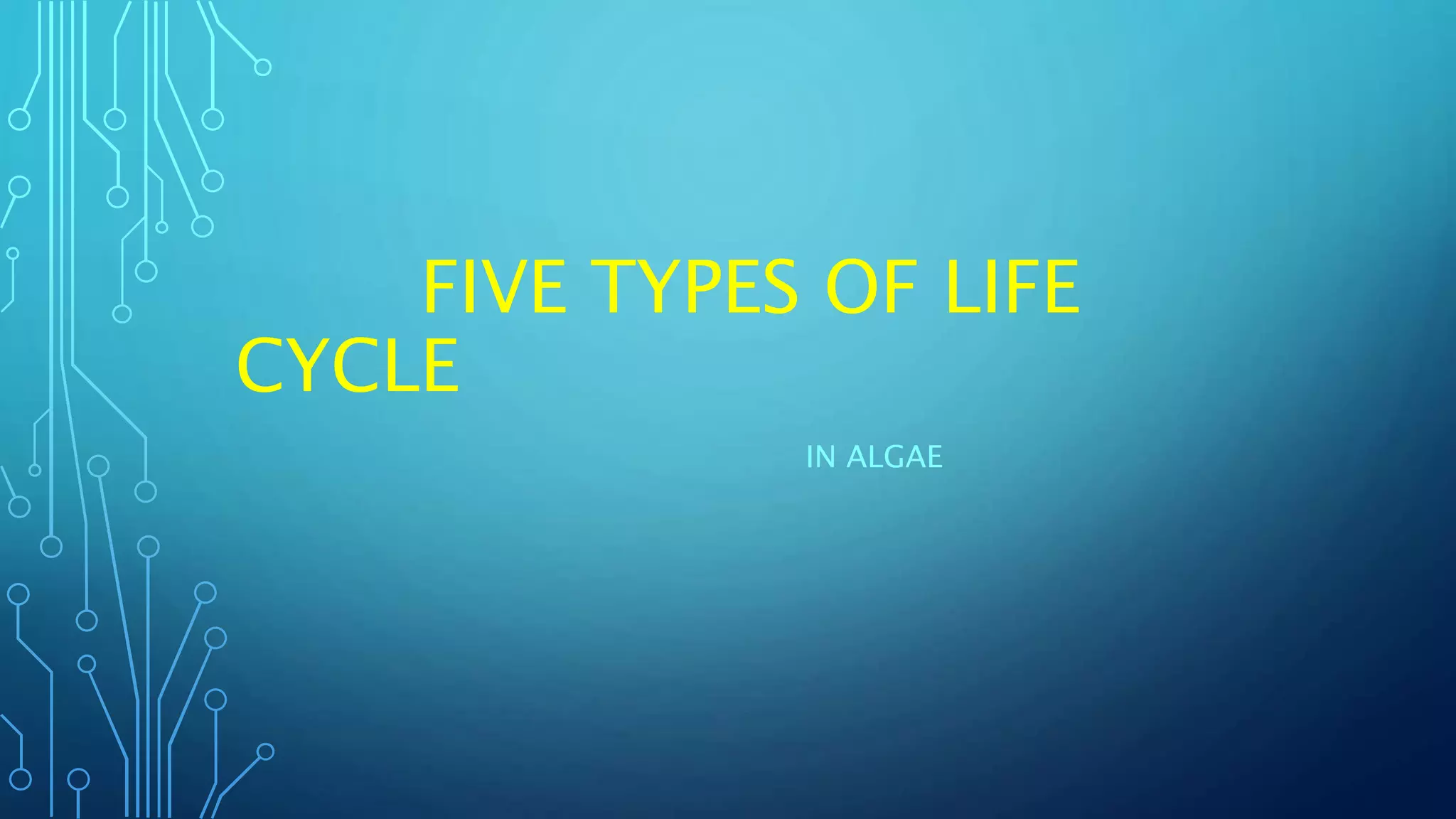 five types of life cycle in algae | PPTX | Biological Sciences | Science