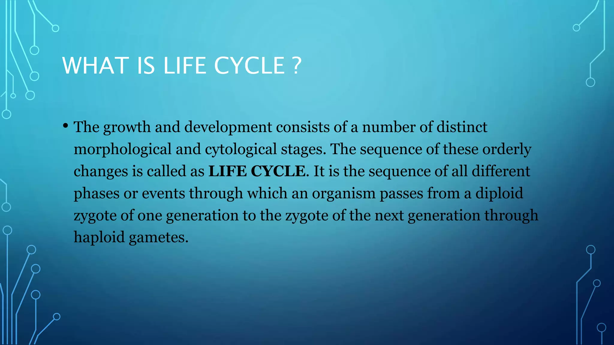 five types of life cycle in algae | PPTX | Biological Sciences | Science
