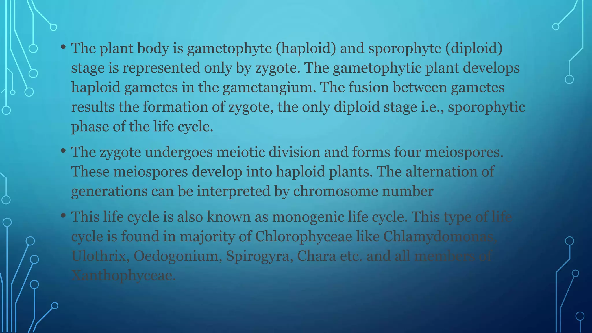 five types of life cycle in algae | PPTX