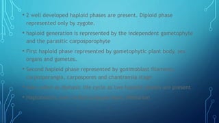 five types of life cycle in algae | PPTX