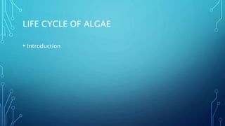 five types of life cycle in algae | PPTX