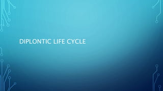 five types of life cycle in algae | PPTX