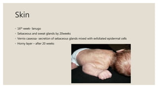 Embryo and Fetal Growth | PPTX