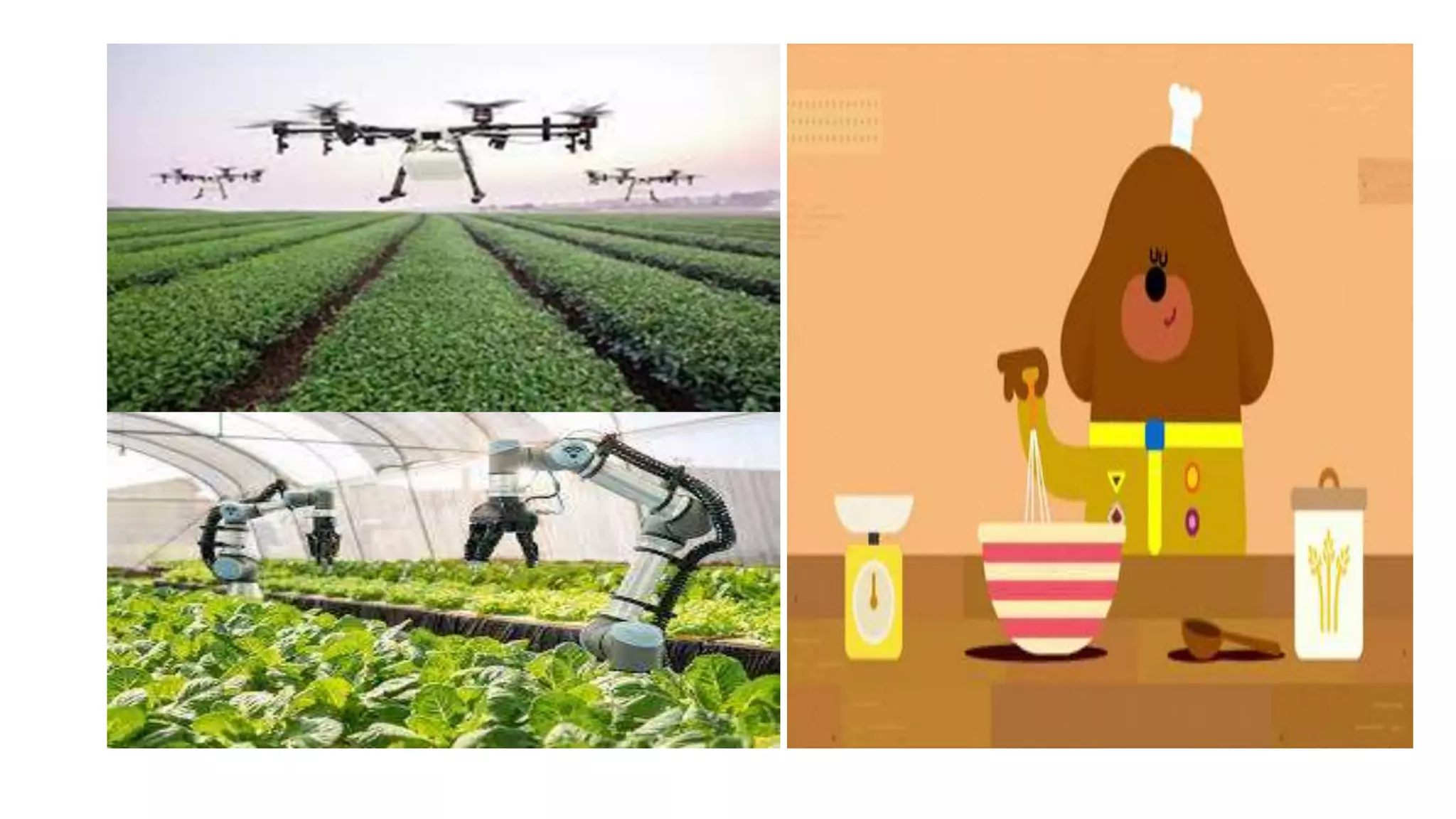 innovations in food science and technology | PPTX