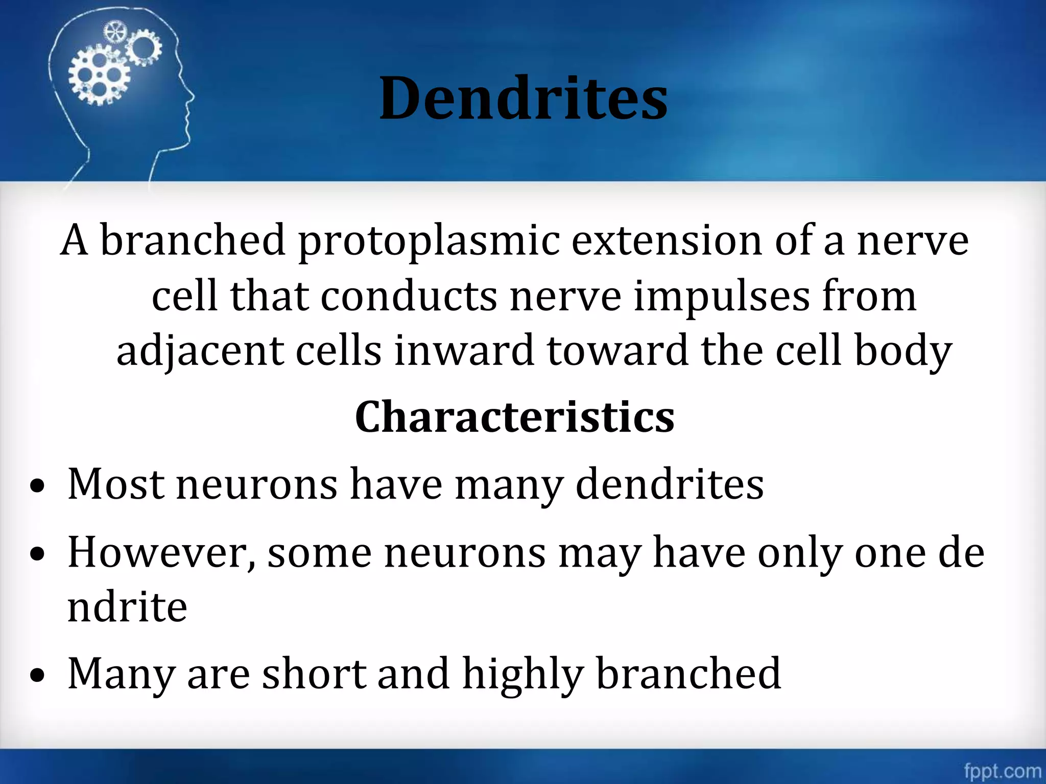 an introduction to neuropsychology | PPT