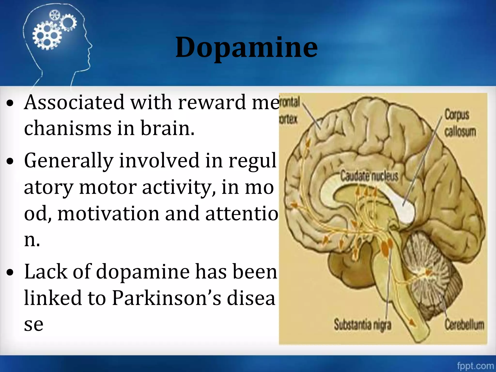 an introduction to neuropsychology | PPT