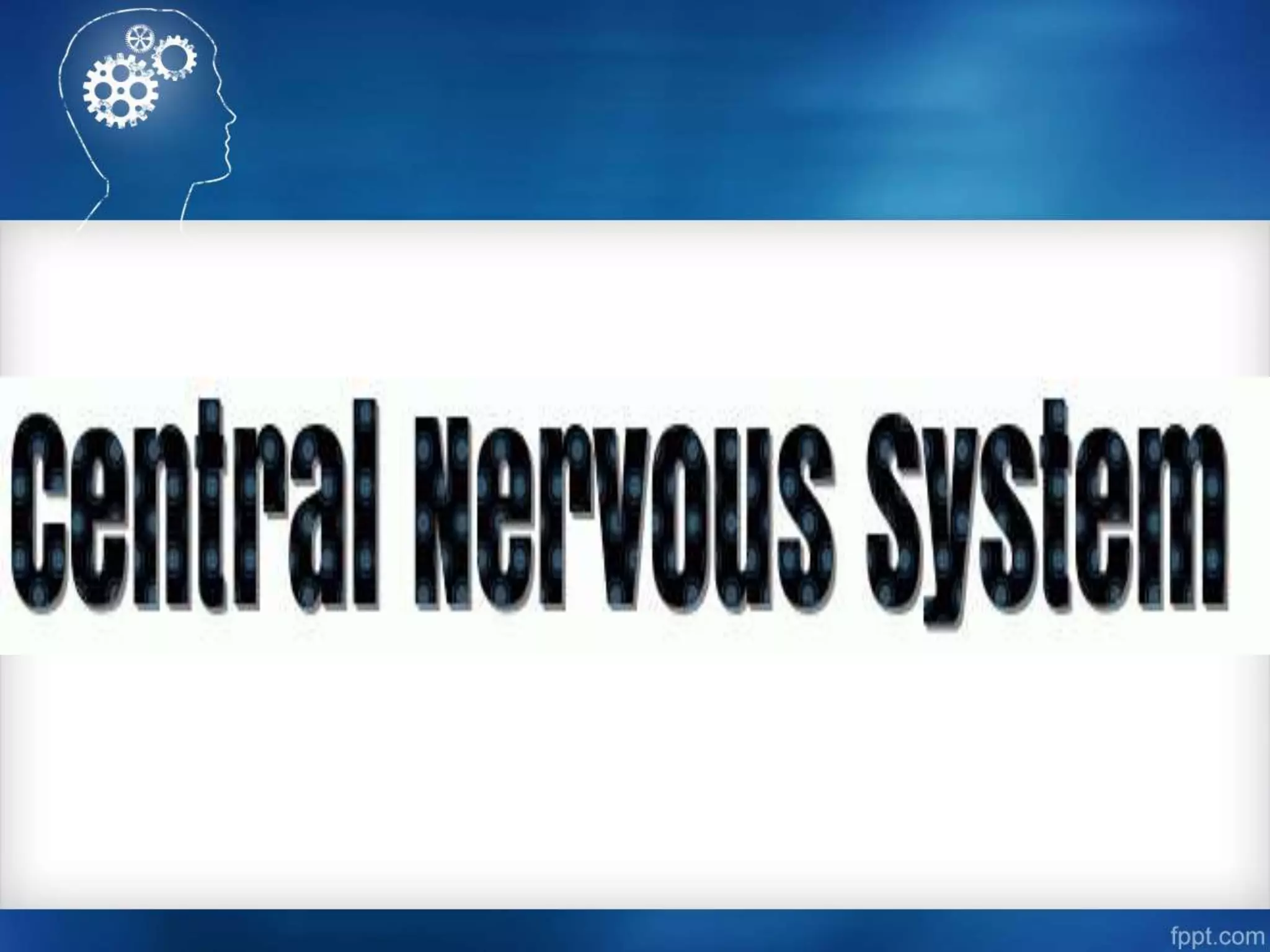 an introduction to neuropsychology | PPT