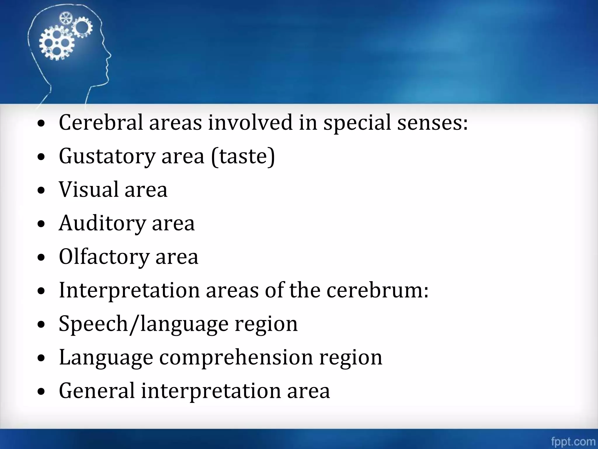 an introduction to neuropsychology | PPT | Brain and Nervous System ...