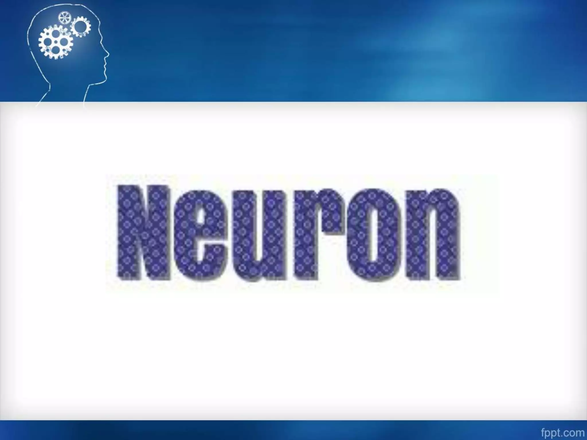 an introduction to neuropsychology | PPT