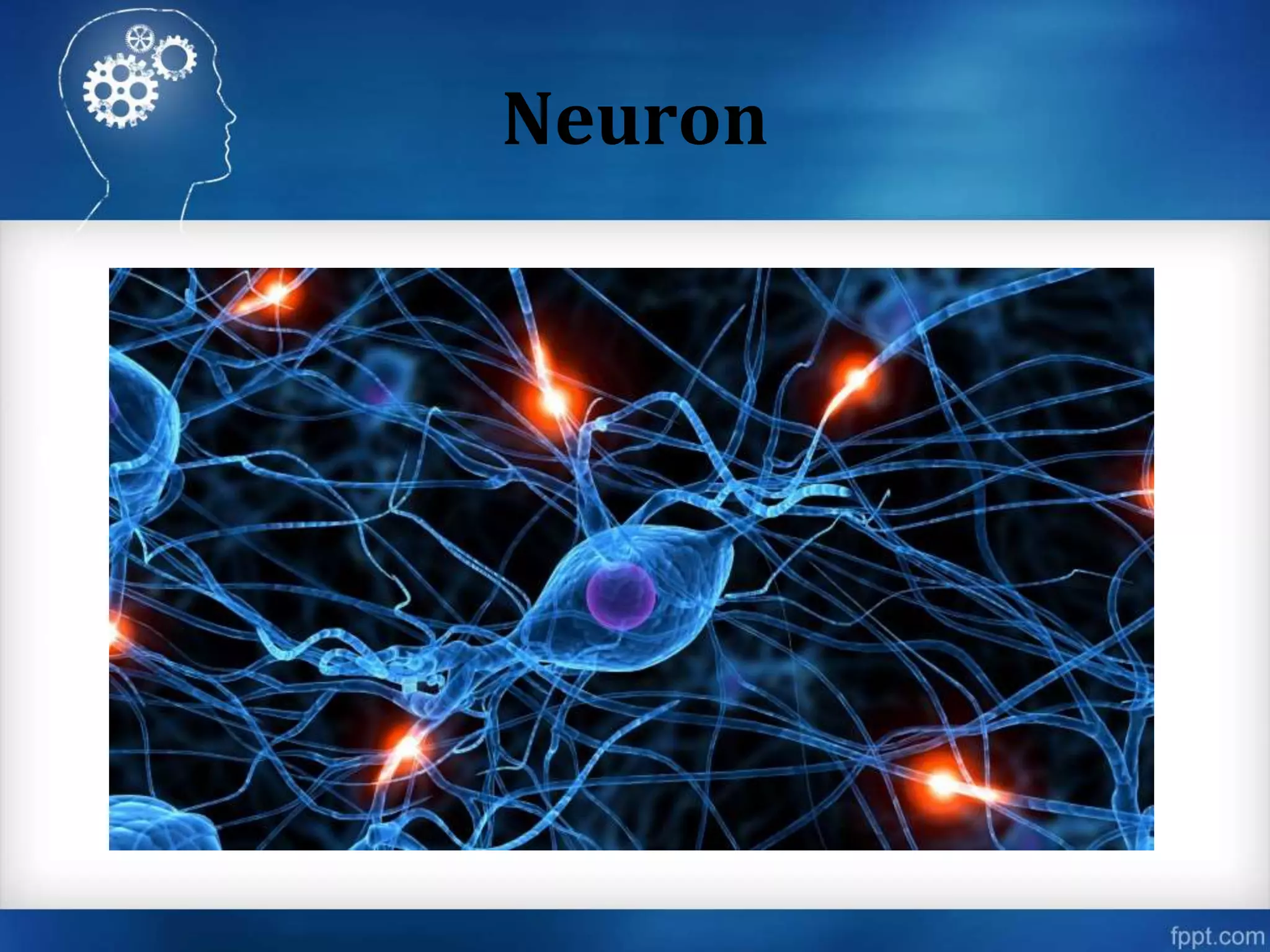 an introduction to neuropsychology | PPT