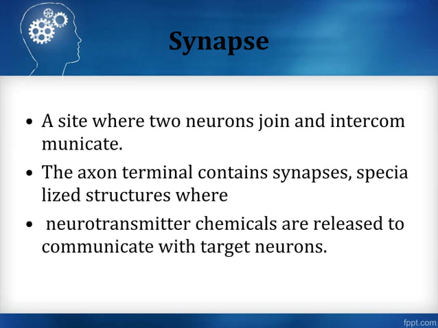 an introduction to neuropsychology | PPT | Brain and Nervous System Disorders | Diseases and ...