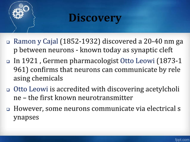 an introduction to neuropsychology | PPT | Brain and Nervous System ...
