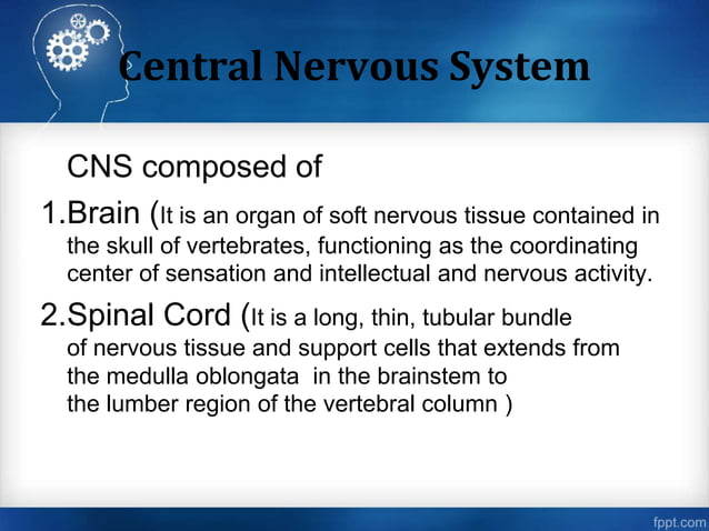an introduction to neuropsychology | PPT | Brain and Nervous System Disorders | Diseases and ...