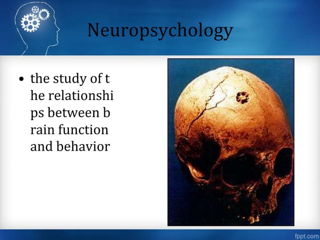 an introduction to neuropsychology | PPT | Brain and Nervous System ...