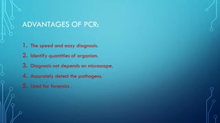 Polymerase chain reaction (PCR) | PDF