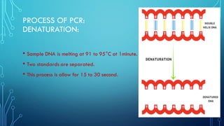 Polymerase chain reaction (PCR) | PDF