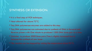 Polymerase chain reaction (PCR) | PDF