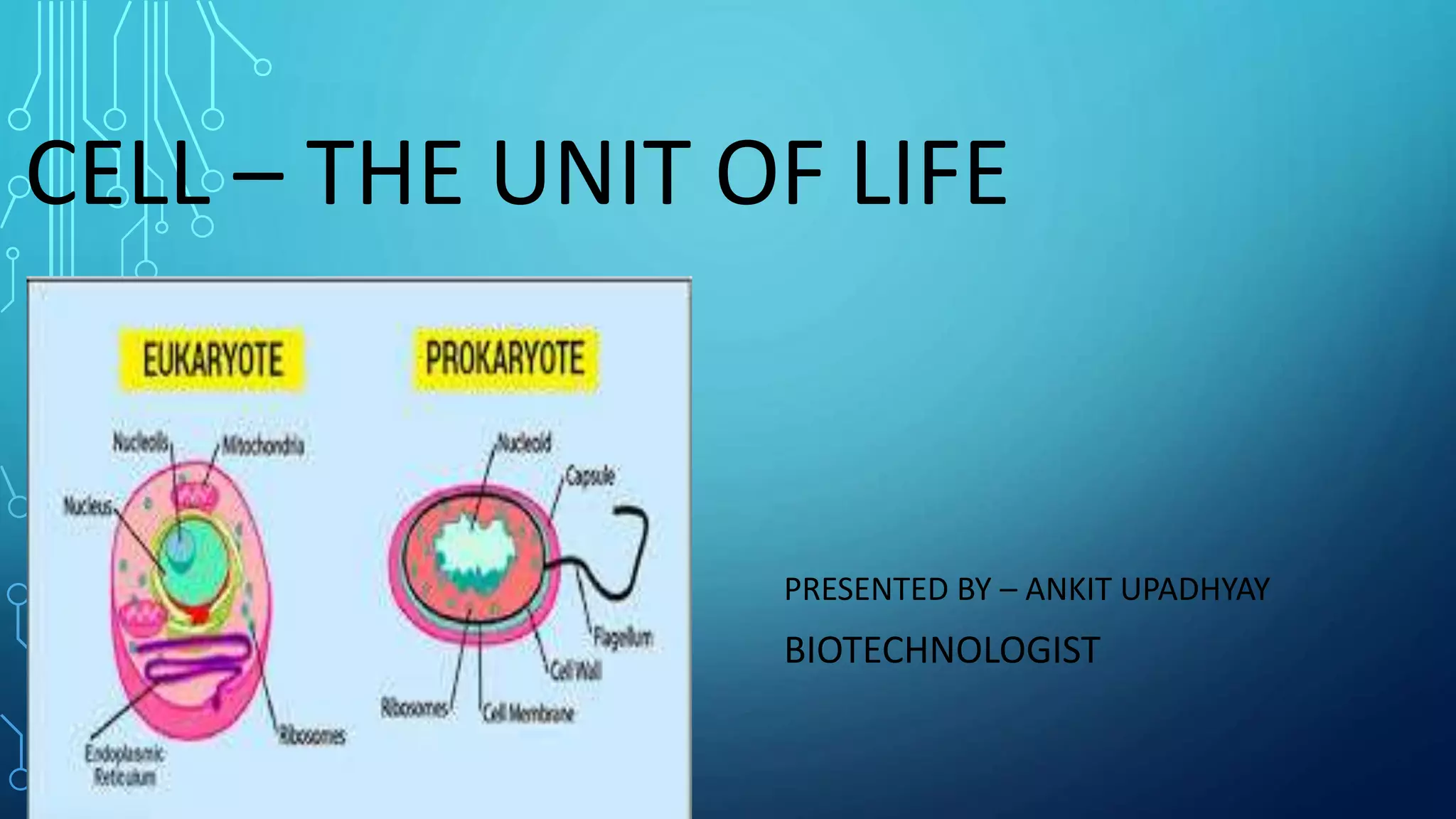 #Cell-Unit Of Life | PPTX | Biological Sciences | Science
