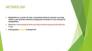 Glycolysis ppt | PPTX