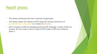 Glycolysis ppt | PPTX